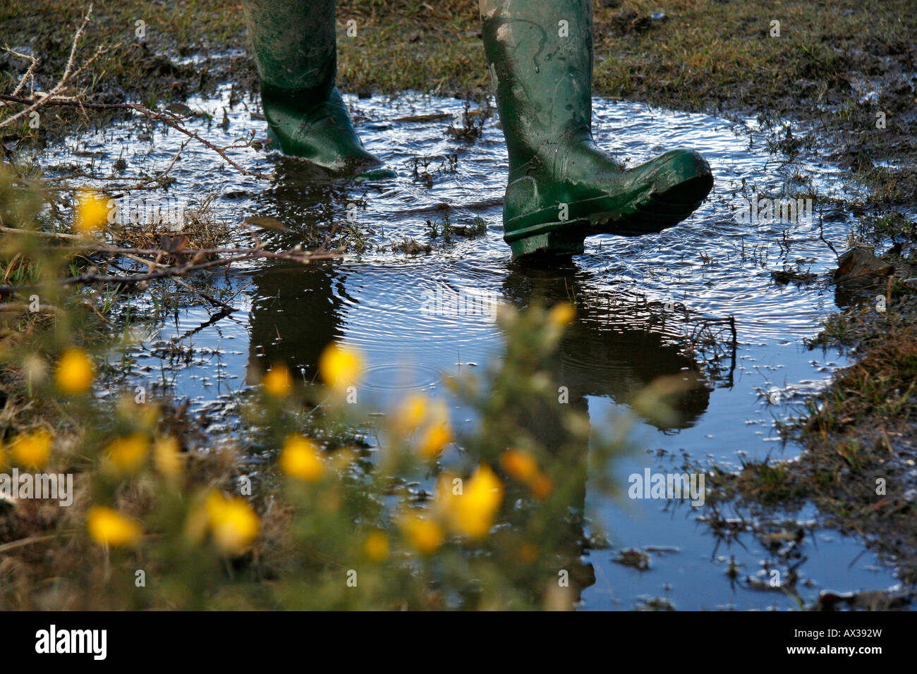 A wet and muddy walk in the New Forest Stock Photo - Alamy