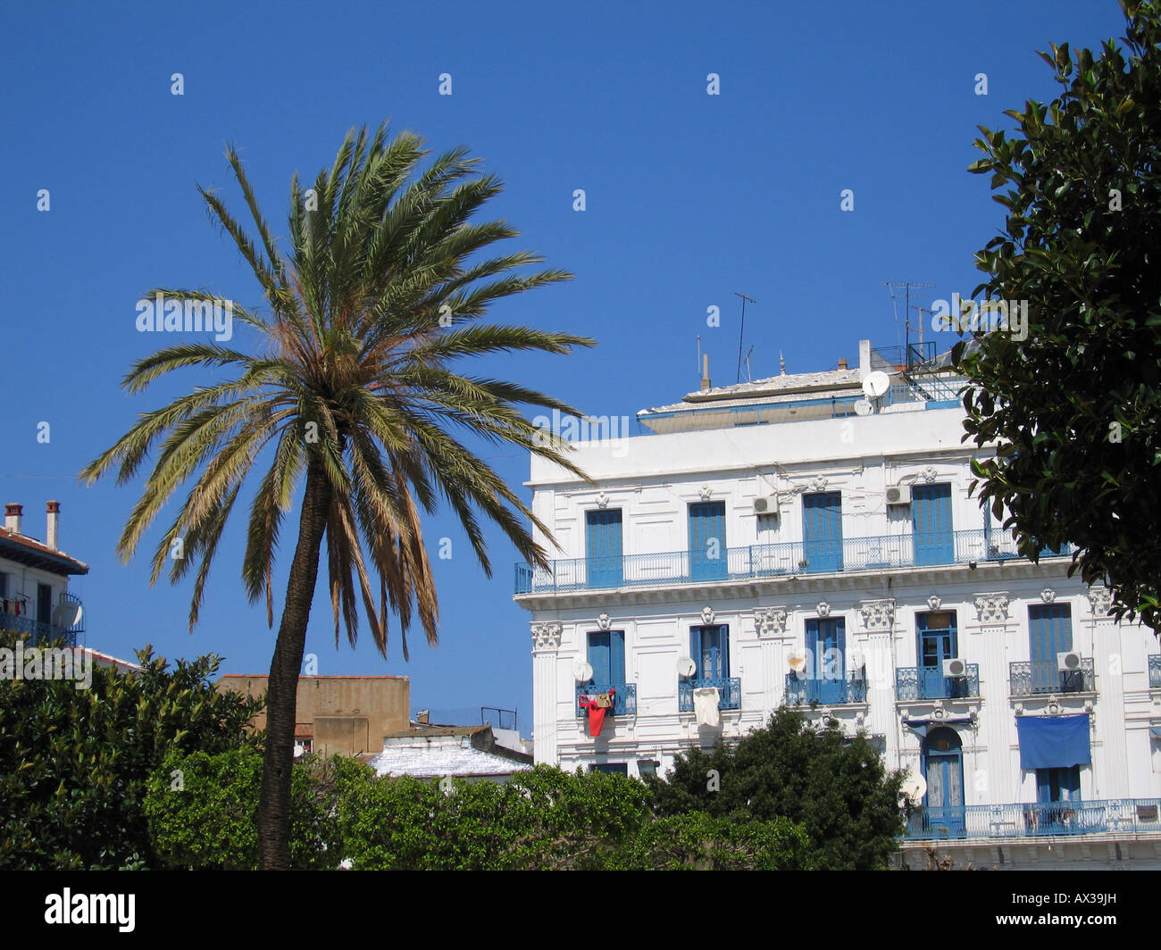 Alger port hi-res stock photography and images - Alamy