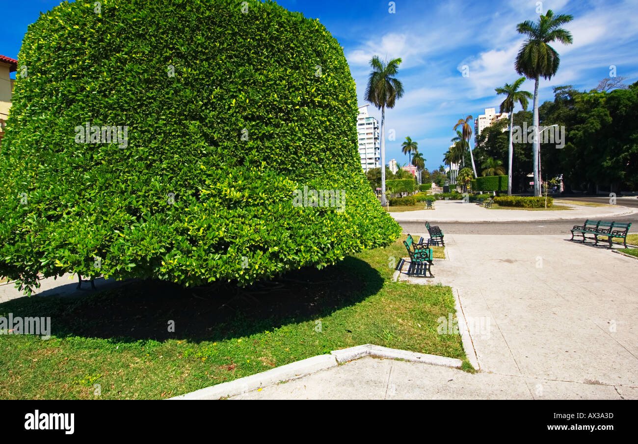 Vedado, Havana, La Habana, Cuba, Greater Antilles, Caribbean Stock ...
