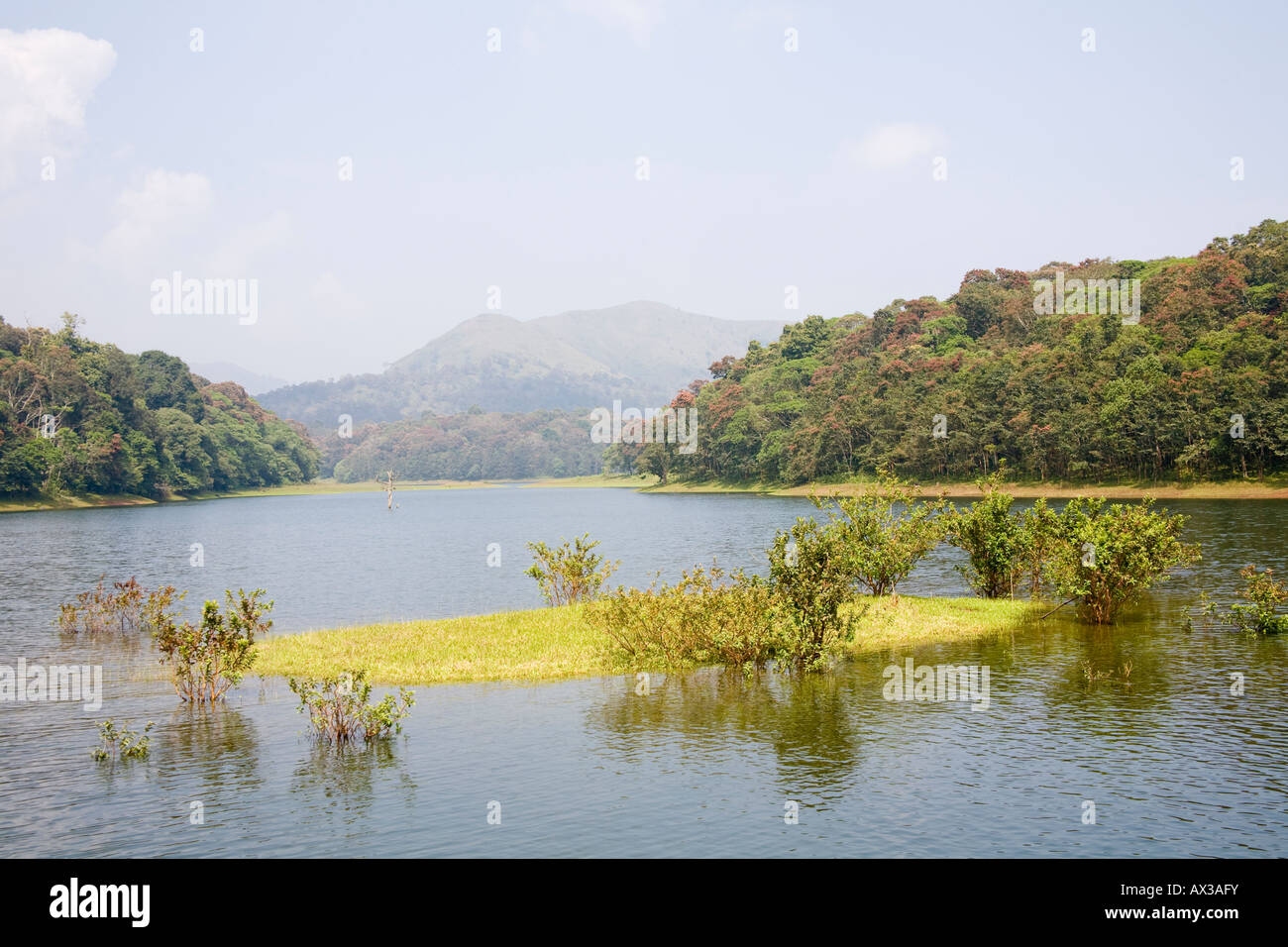 Periyar Lake, Periyar Wildlife Sanctuary, Thekkady, near Kumily, Kerala ...