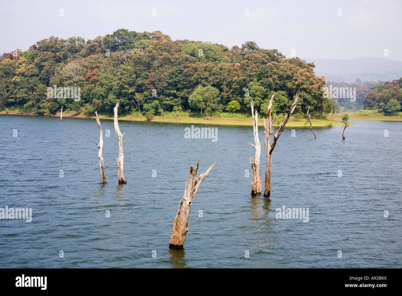Periyar Lake, Periyar Wildlife Sanctuary, Thekkady, near Kumily, Kerala ...