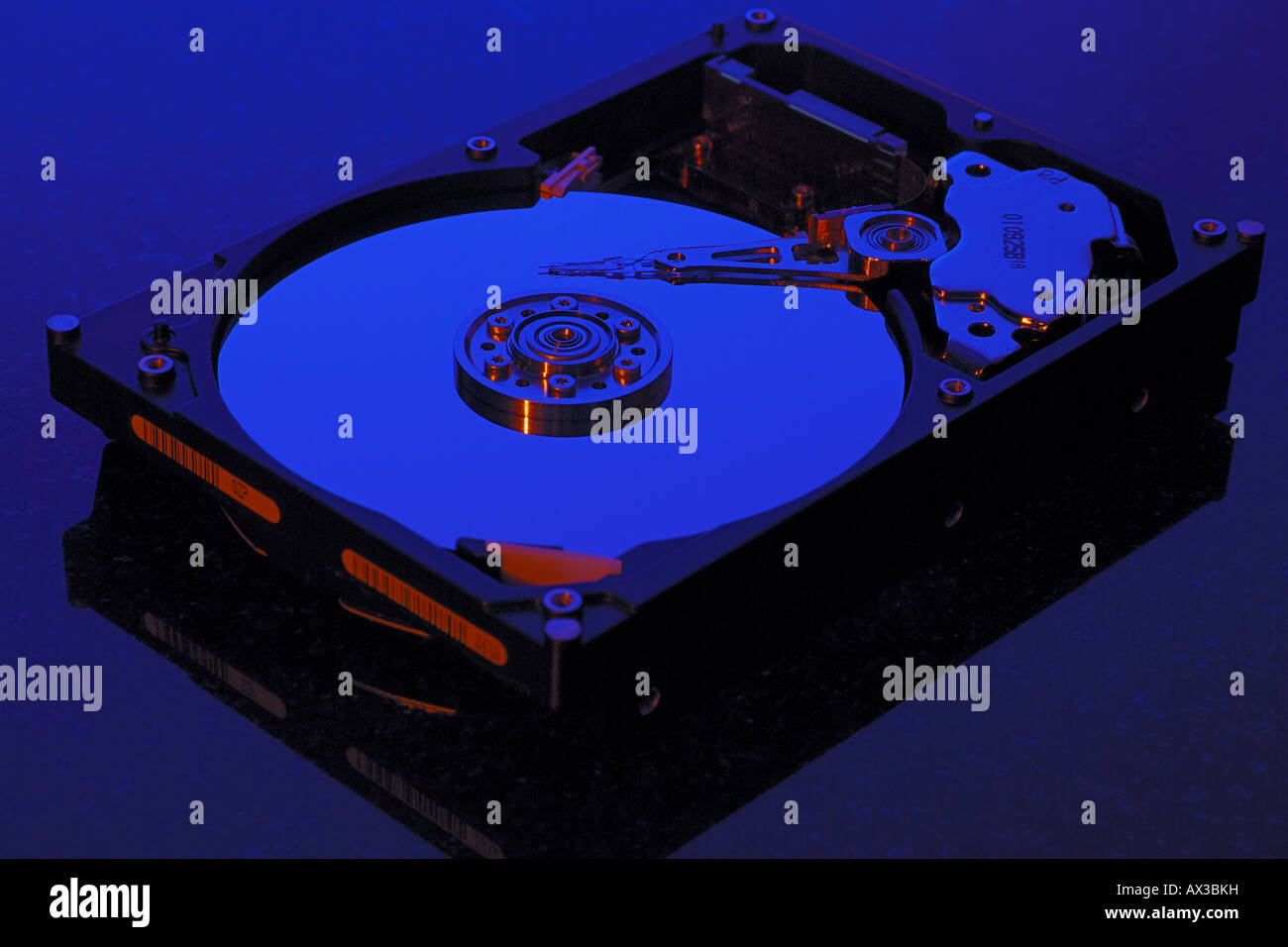 Hard disk brain hi-res stock photography and images - Alamy