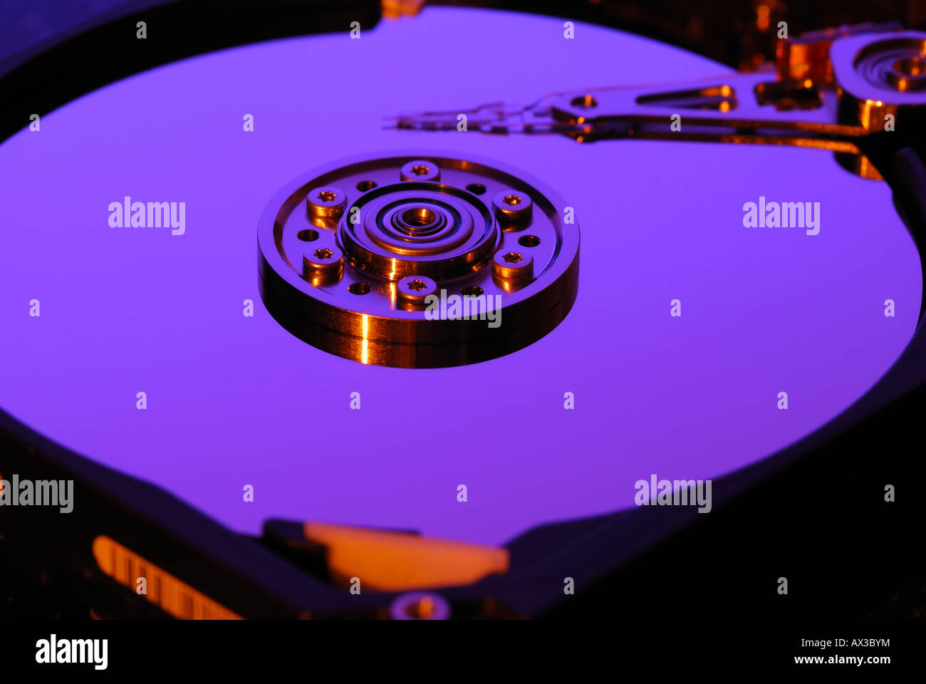 Hard disk brain hi-res stock photography and images - Alamy