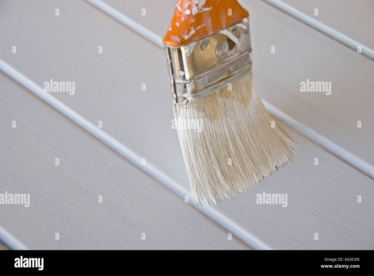A paintbrush in action Stock Photo - Alamy