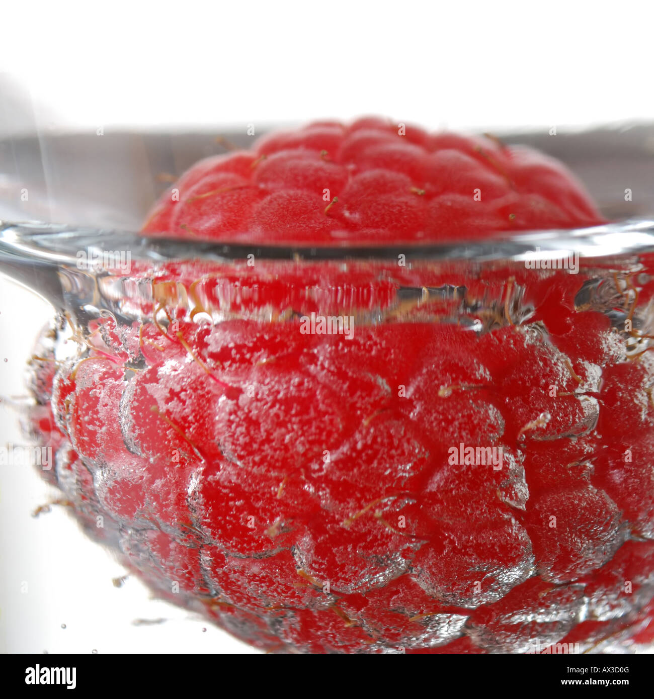 Red raspberry plants hi-res stock photography and images - Alamy
