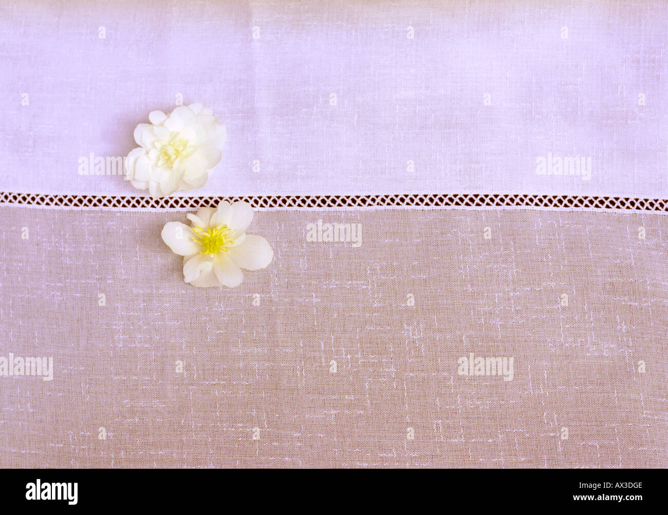 White voile hi-res stock photography and images - Alamy