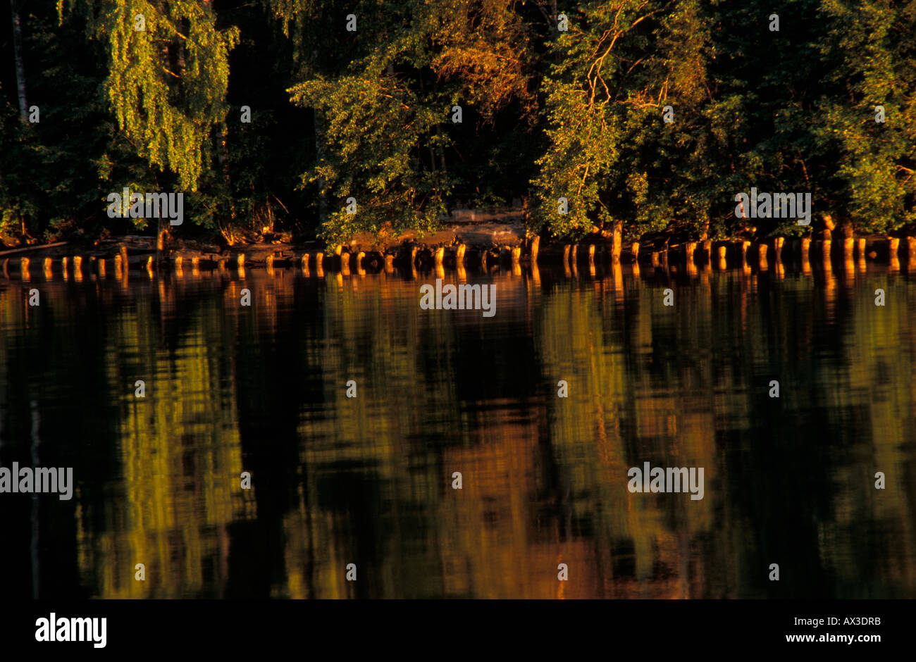 Reflections in a lake Angermanland Sweden Stock Photo - Alamy