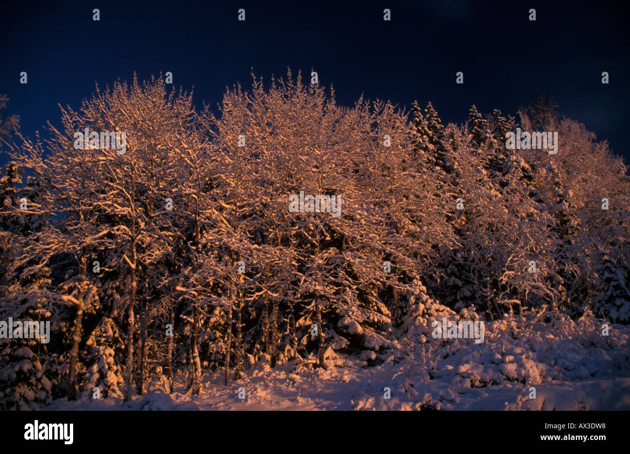Winter Scene Angermanland Sweden Europe Stock Photo - Alamy
