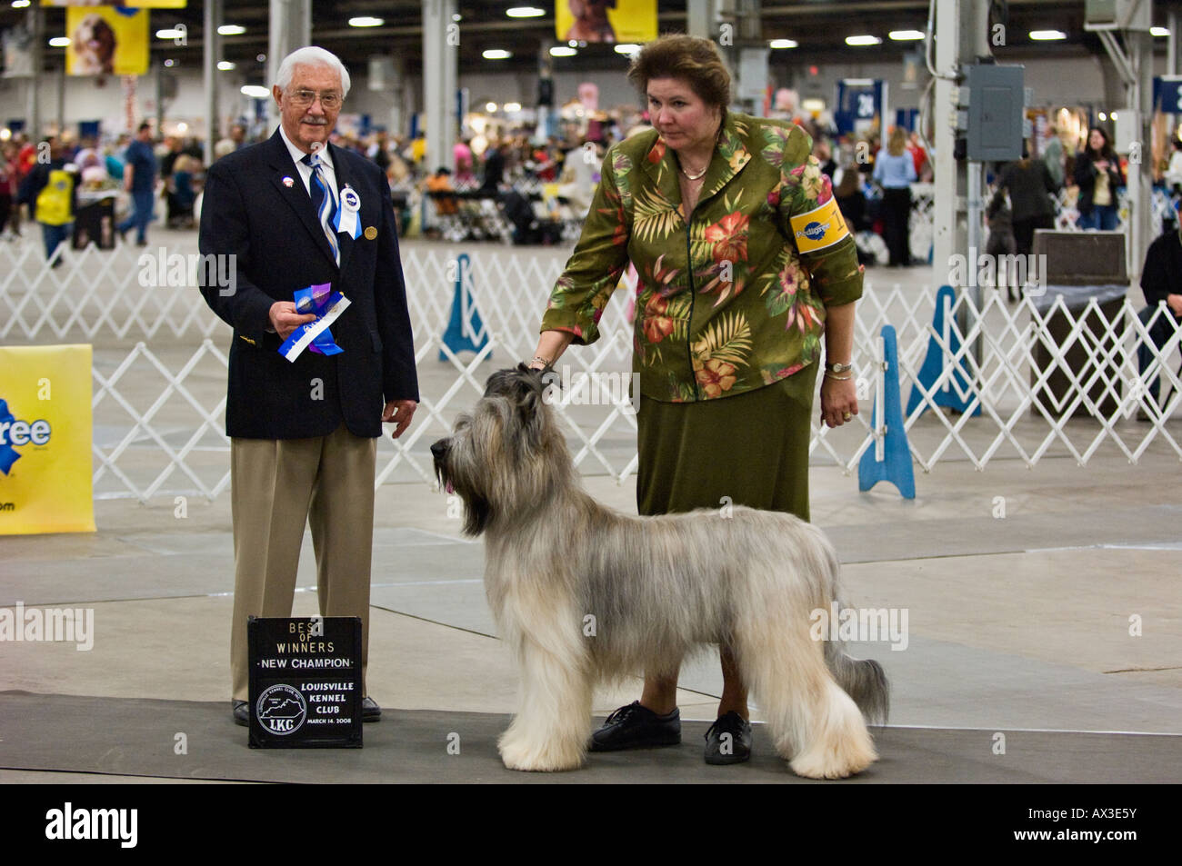 How Do You Become A Judge For Dog Show