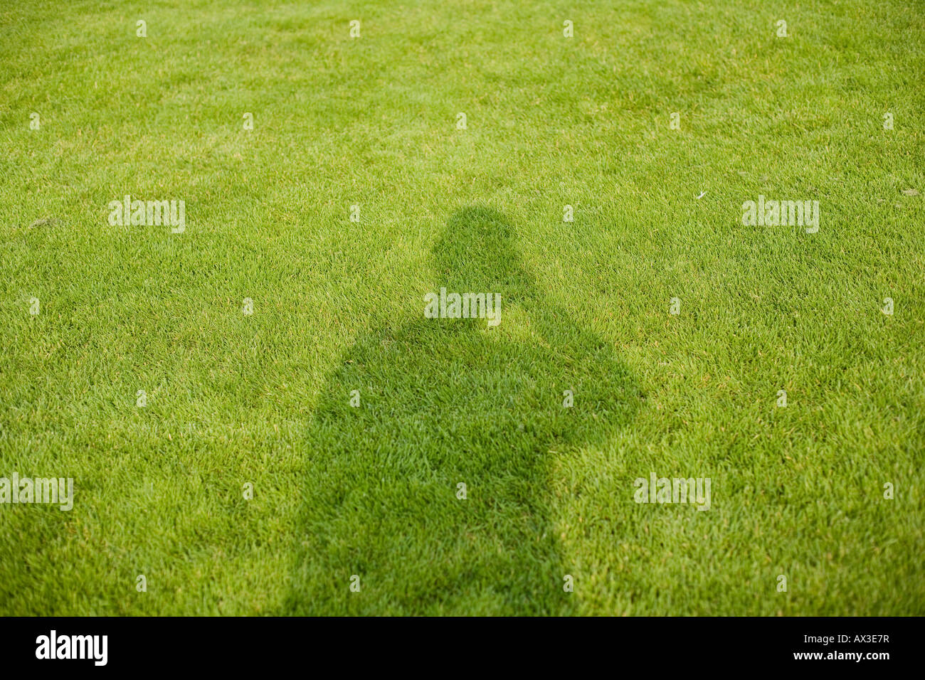 the shadow of a man projected on grass Stock Photo - Alamy