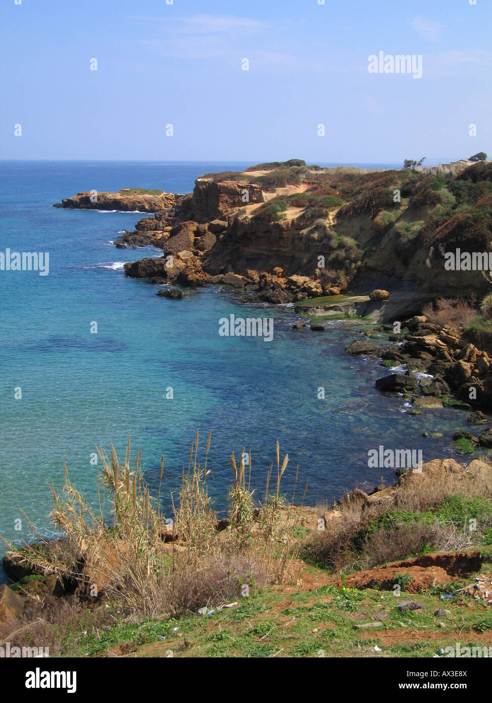 Algerian coast and Mediterranean sea between Tipasa and Bou Haroun at ...