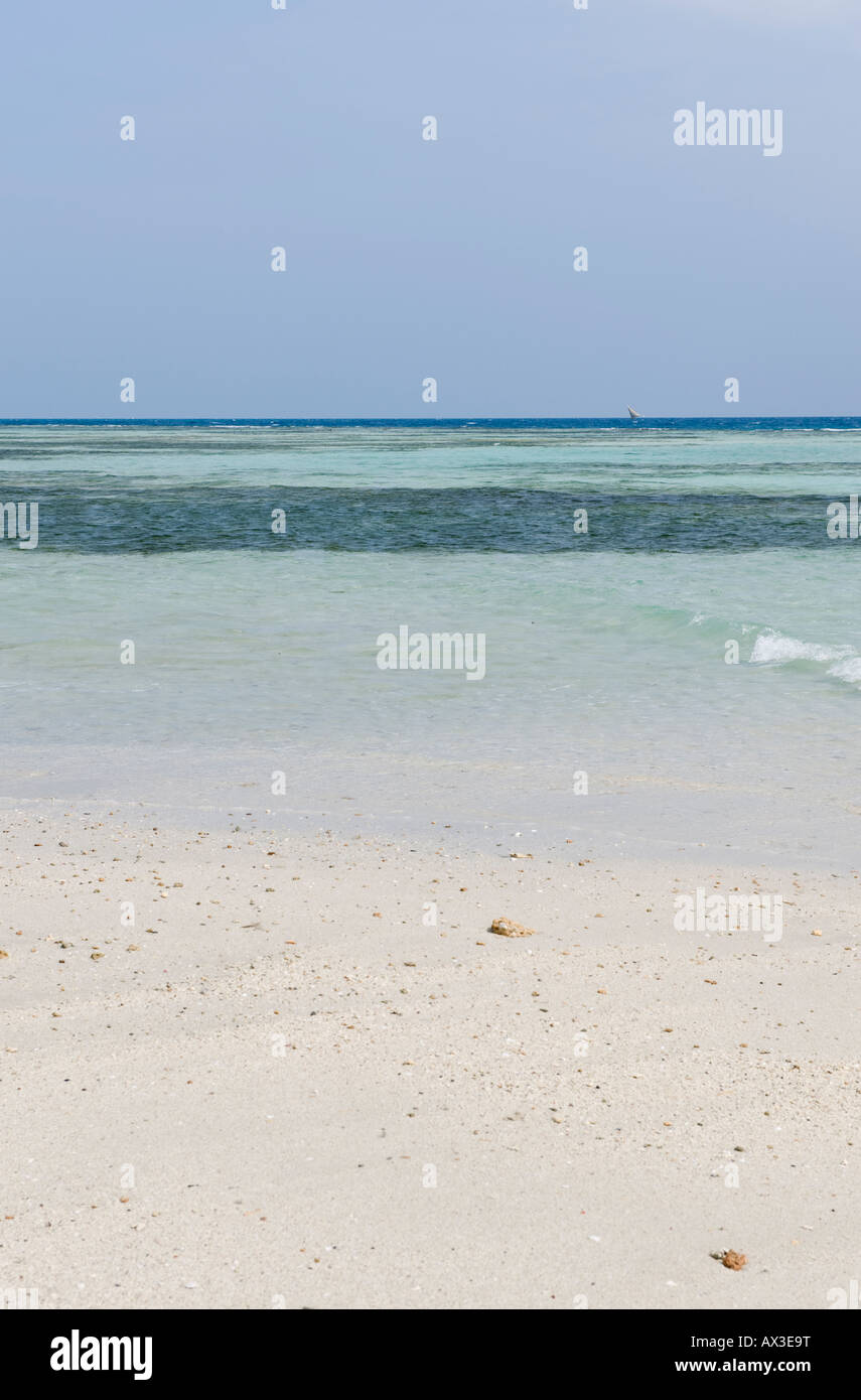 Zanzibar western coast a beach of Prison island Stock Photo - Alamy