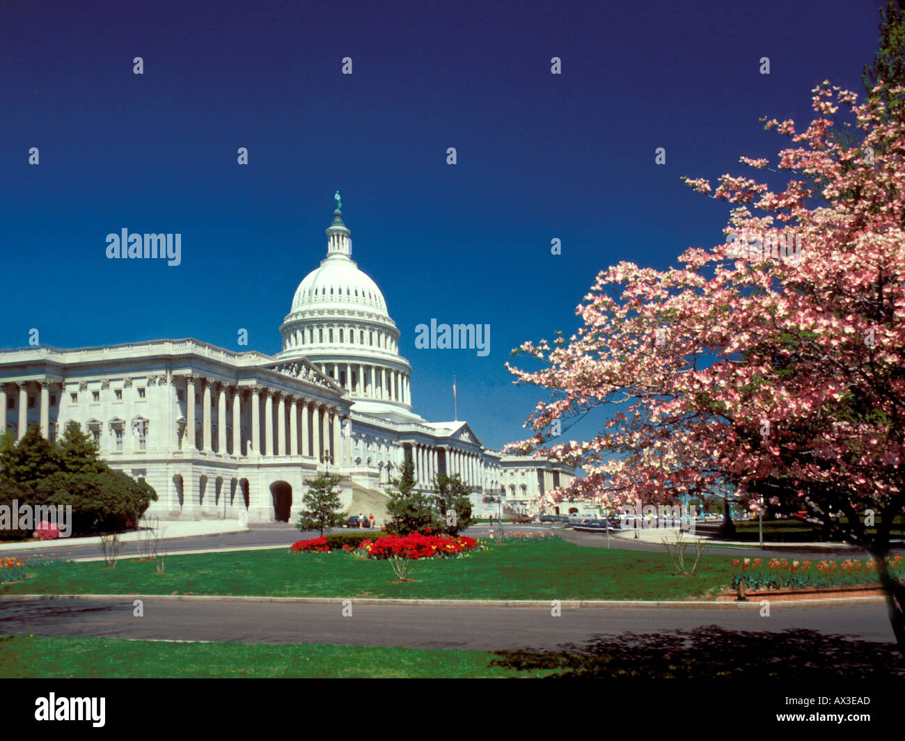Capitol rules hi-res stock photography and images - Alamy