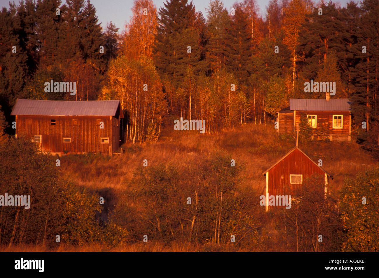 Frostland Angermanland Sweden Stock Photo - Alamy