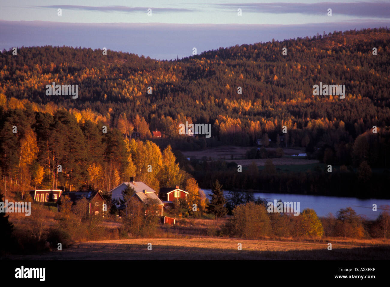 Frostland Angermanland Sweden Stock Photo - Alamy