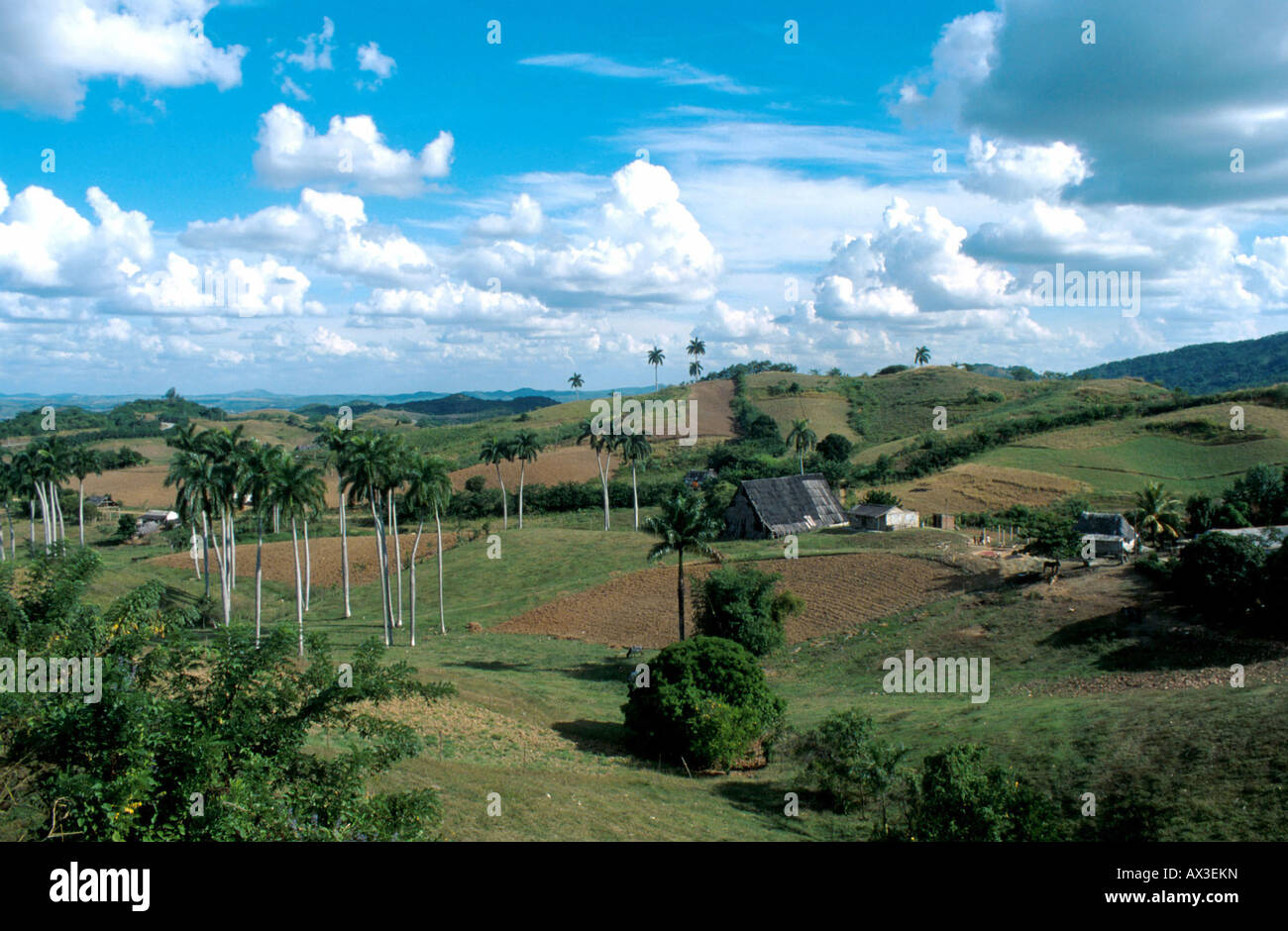 CUBA TROPICAL COUNTRYSIDE NEAR TRINIDAD Photo Julio Etchart Stock Photo ...