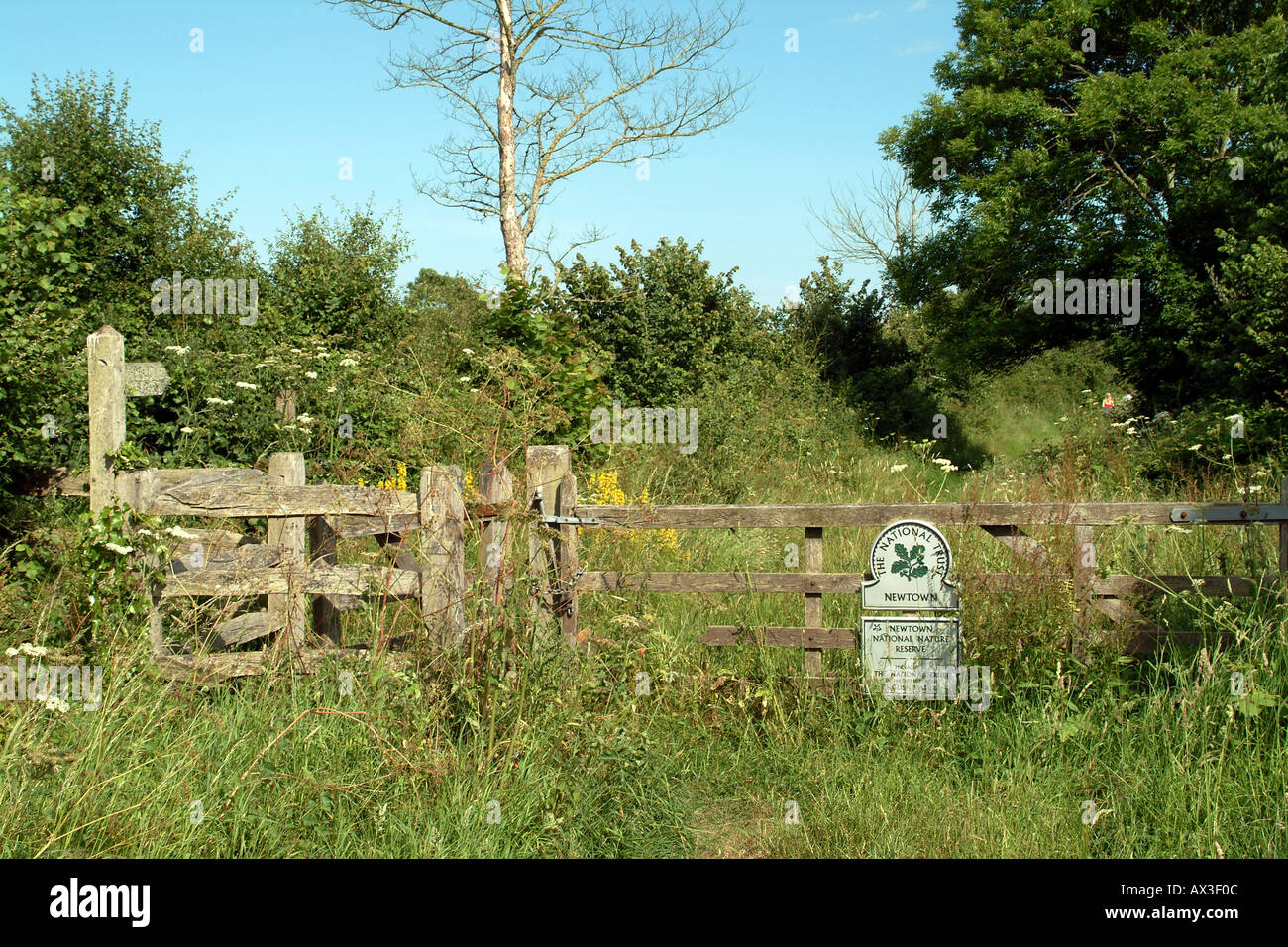 Newtown National Nature Reserve Isle of Wight Southern England UK Stock ...