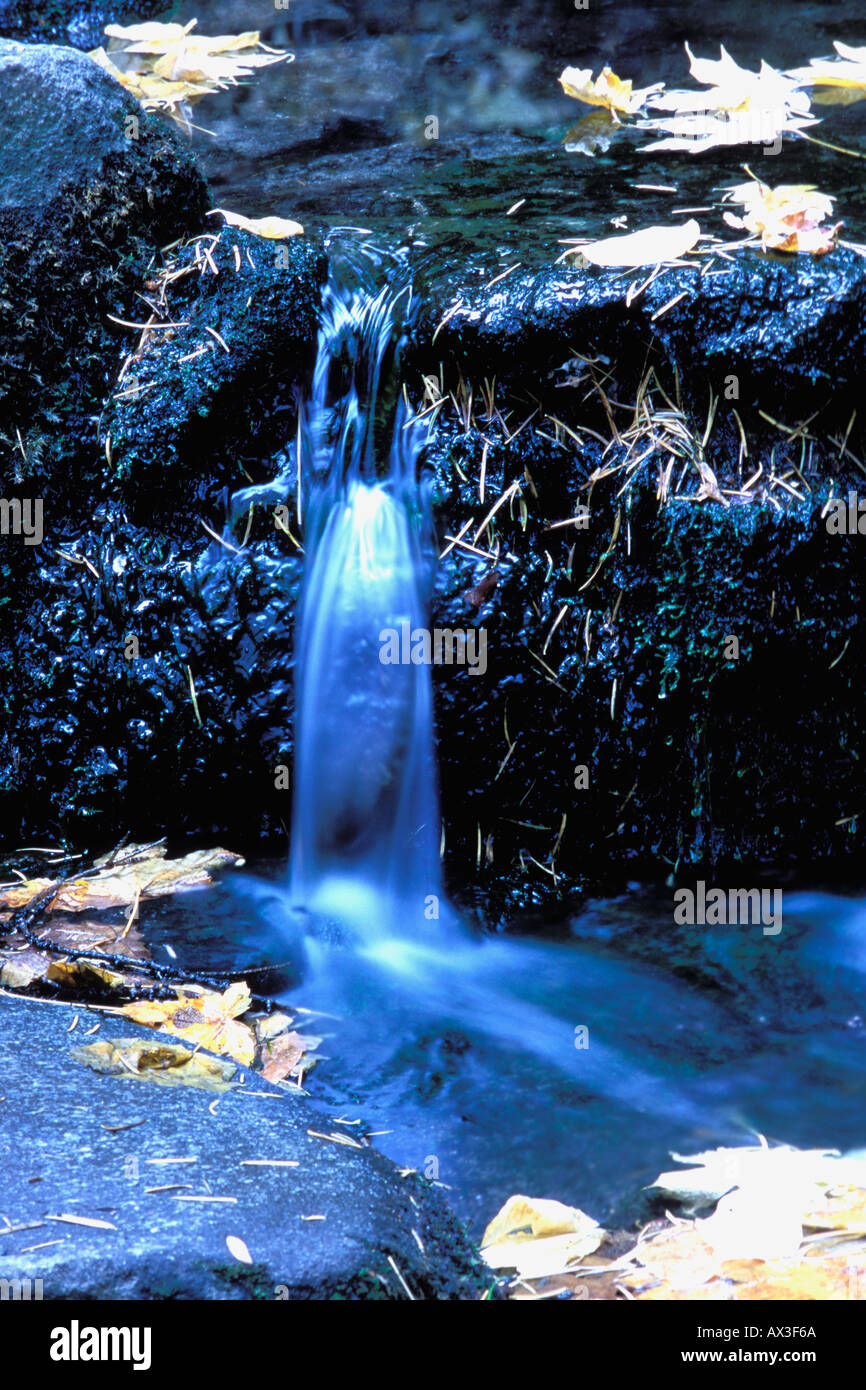 Fern spring yosemite national park hi-res stock photography and images ...