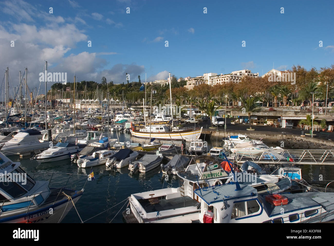 Funchal Marina Madeira Stock Photo - Alamy