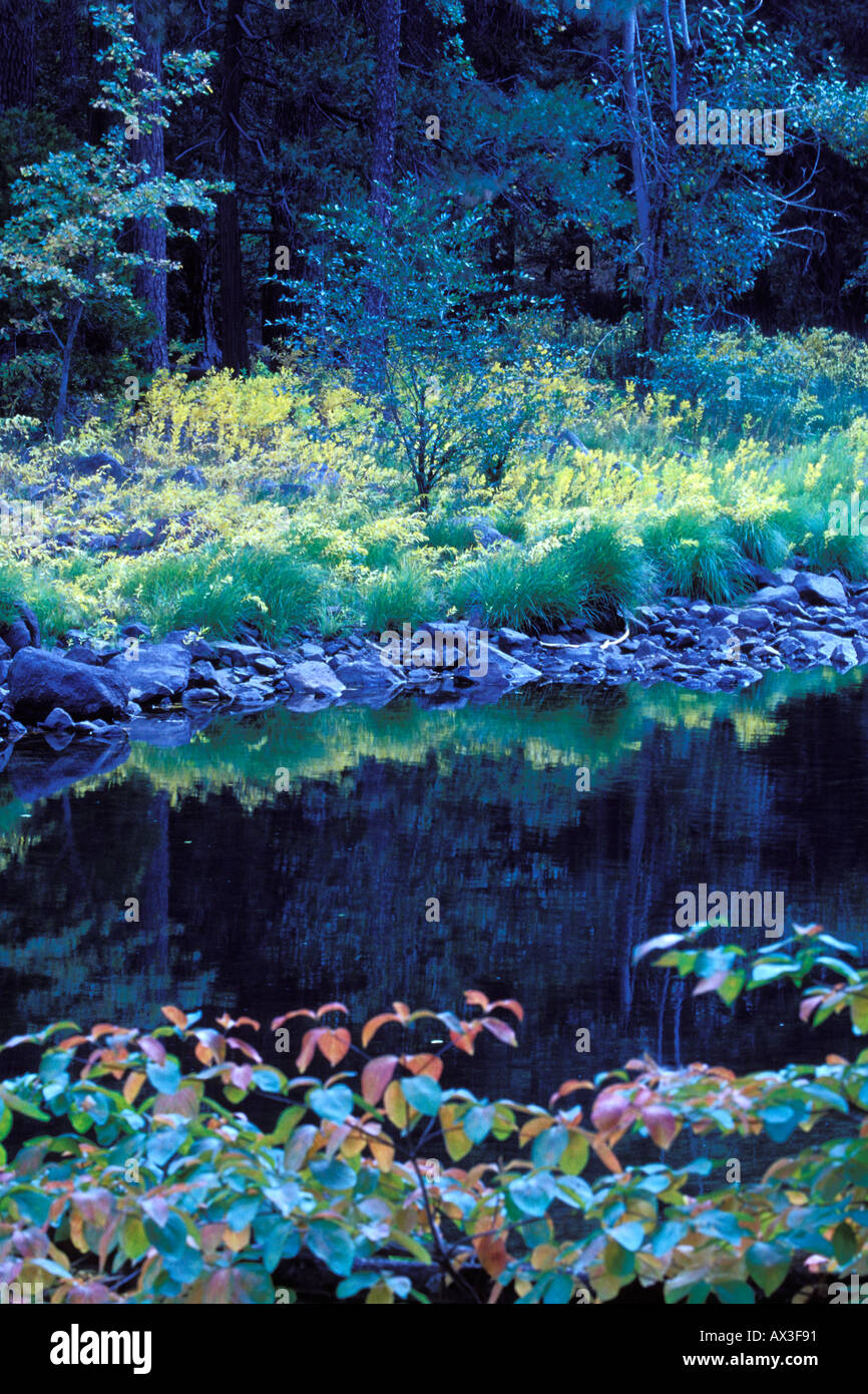 Fall reflections in the Merced River Yosemite Valley Stock Photo - Alamy