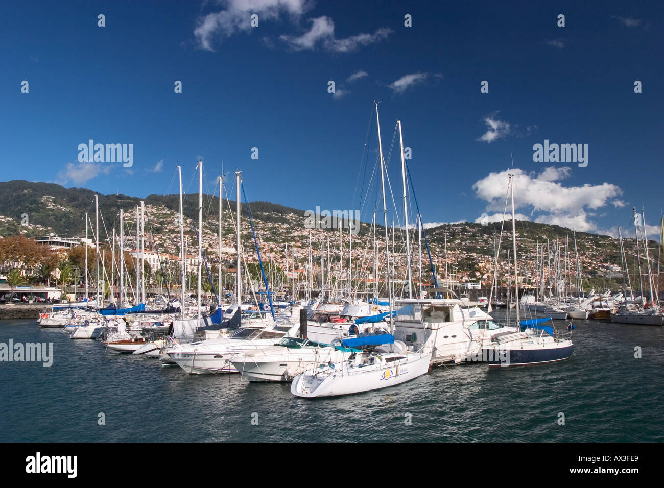 Funchal Marina Madeira Stock Photo - Alamy