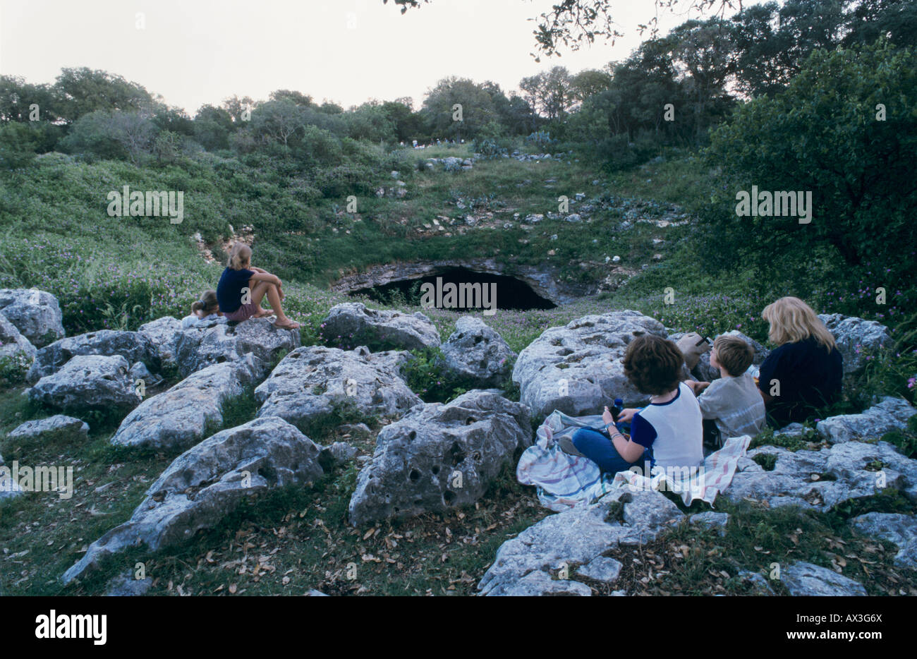 Free tailed bats cave hi-res stock photography and images - Alamy