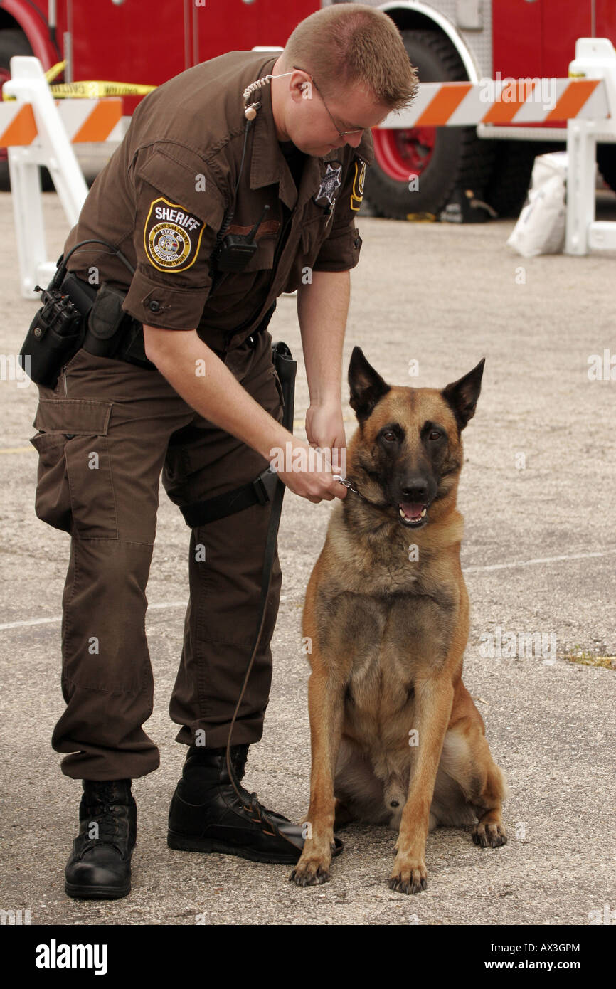 A sheriff K9 unit with his dog Stock Photo - Alamy
