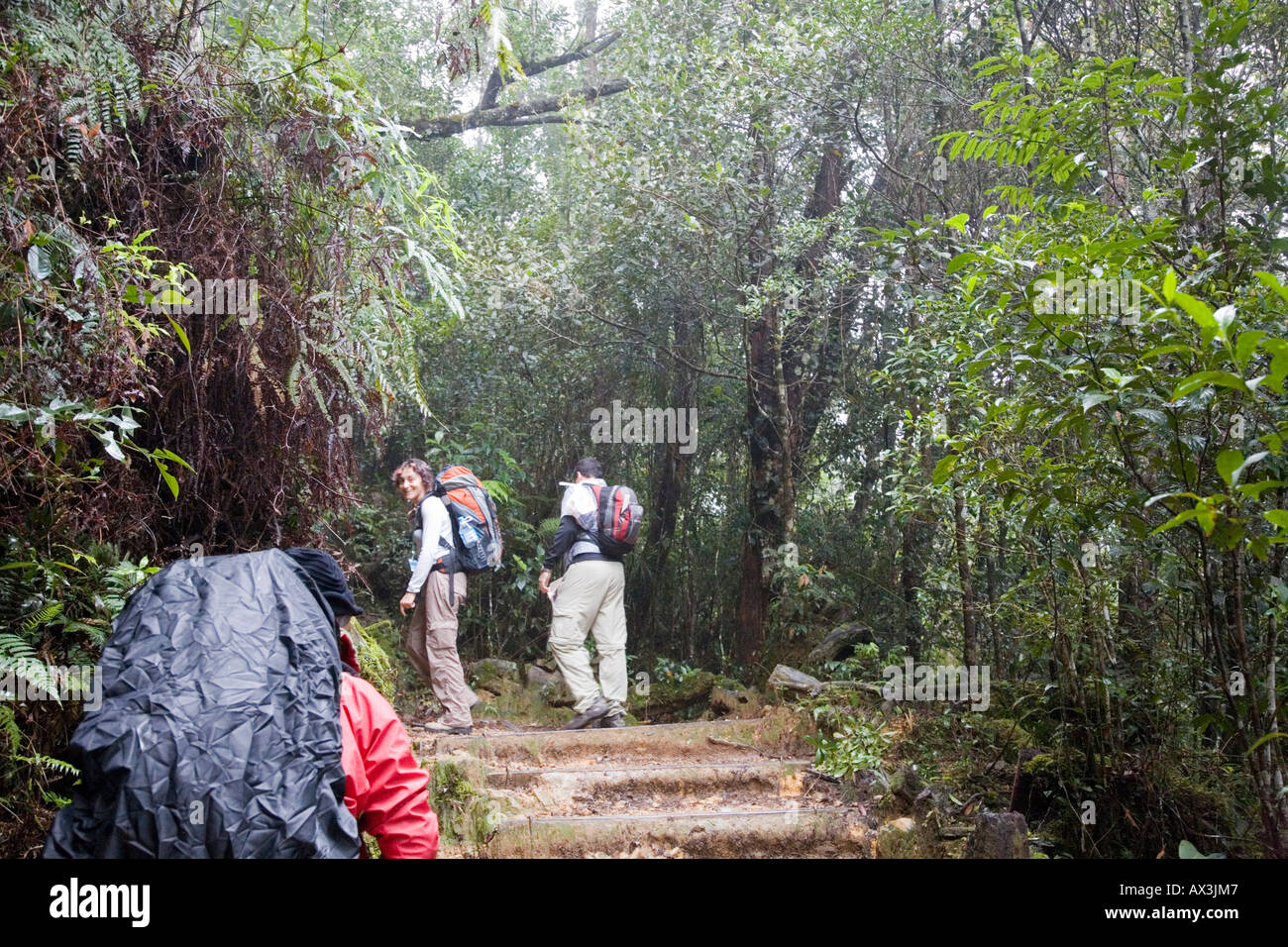 Trekking Mt Kinabalu in Kinabalu National Park, Kota Kinabalu, Sabah ...