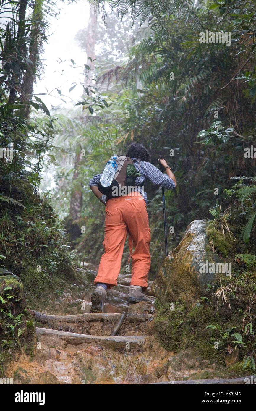 Trekking Mt Kinabalu in Kinabalu National Park, Kota Kinabalu, Sabah ...