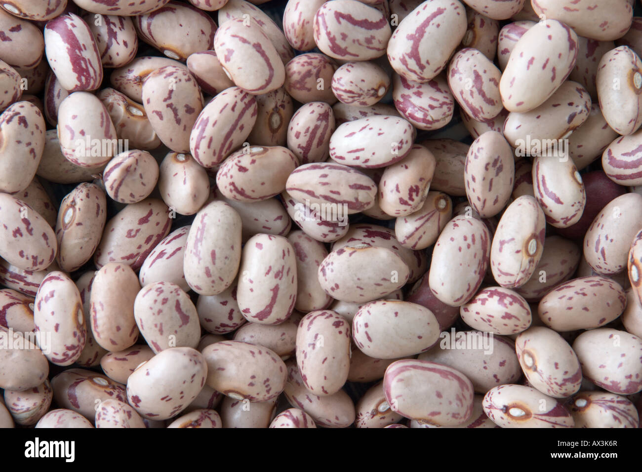 Dried Pinto Beans Stock Photo - Alamy