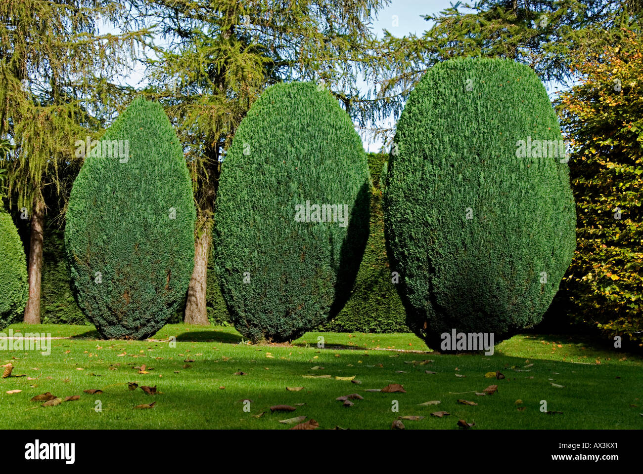 Three sculpted trees in a line Stock Photo - Alamy