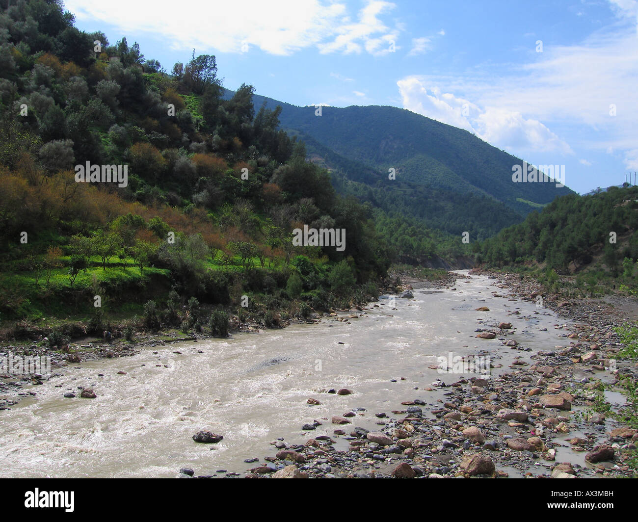 River in Hammam Melouan valley , Wilaya de Blida, Algeria Stock Photo ...