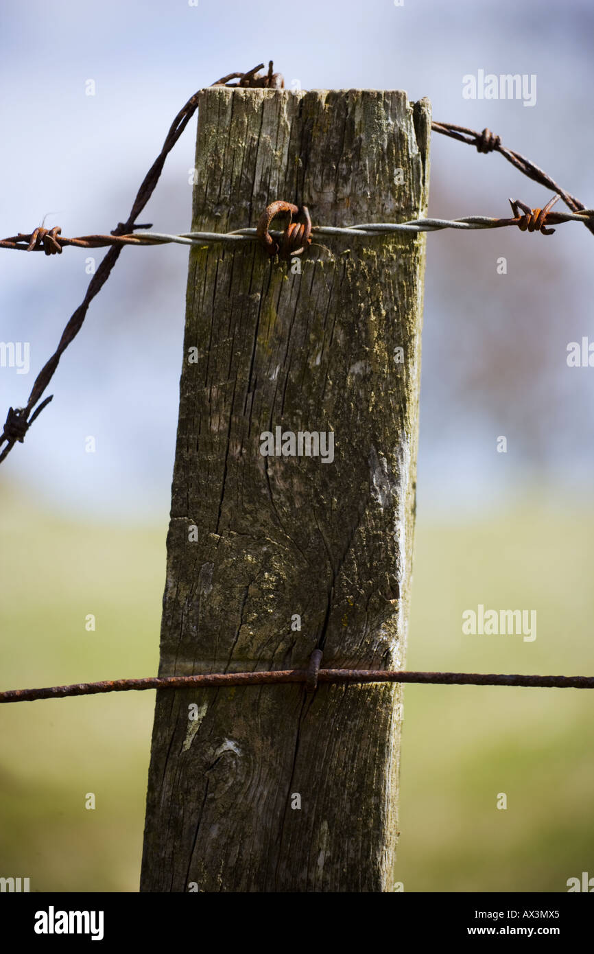 Broken Barbed Wire High Resolution Stock Photography and Images - Alamy