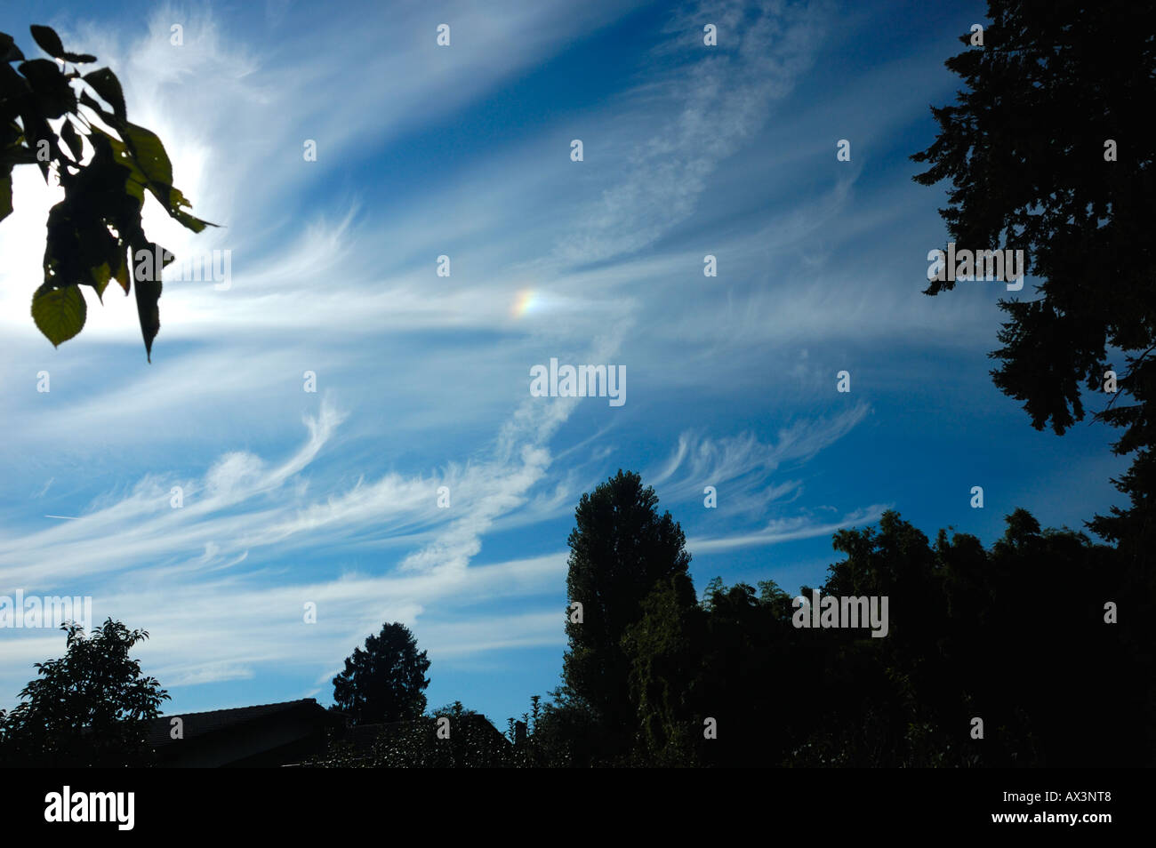 Cirrus altocirrus cloud clouds sky hi-res stock photography and images ...