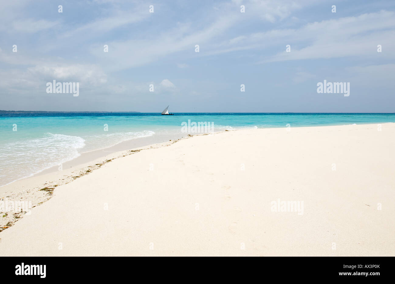 Zanzibar western coast a beach of Prison island Stock Photo - Alamy