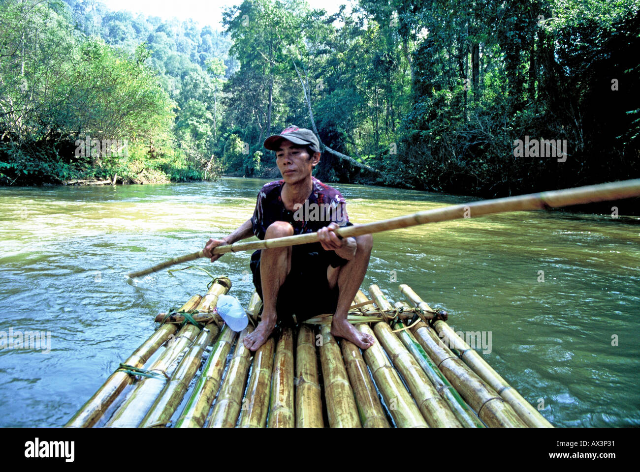 Thailand, Chiang Mai Province, Northern Thailand, Chiang Mai - Bamboo ...