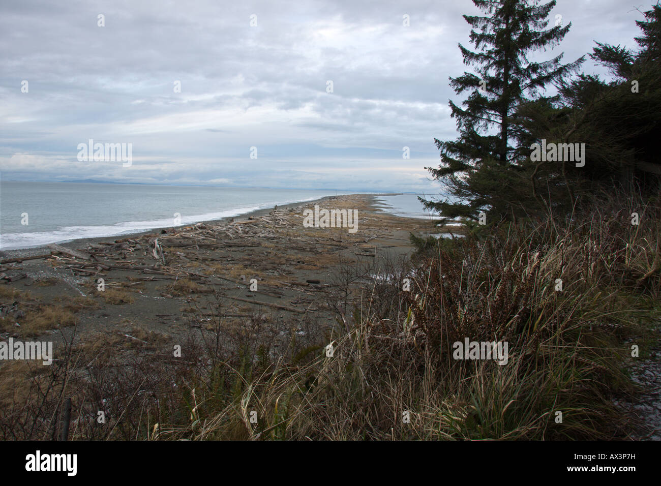 Dungeness national wildlife hi-res stock photography and images - Alamy