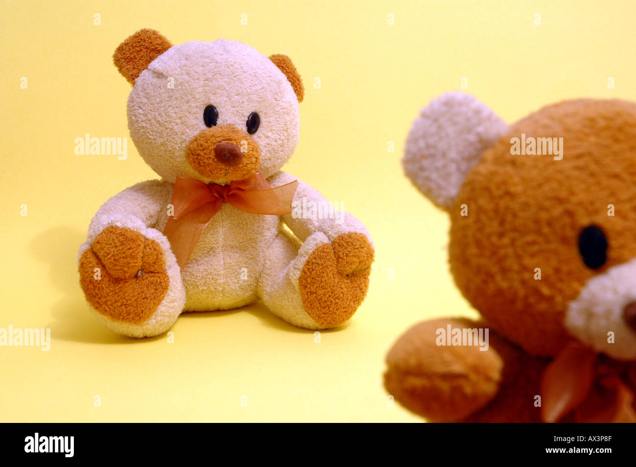 Two teddy bears Stock Photo - Alamy