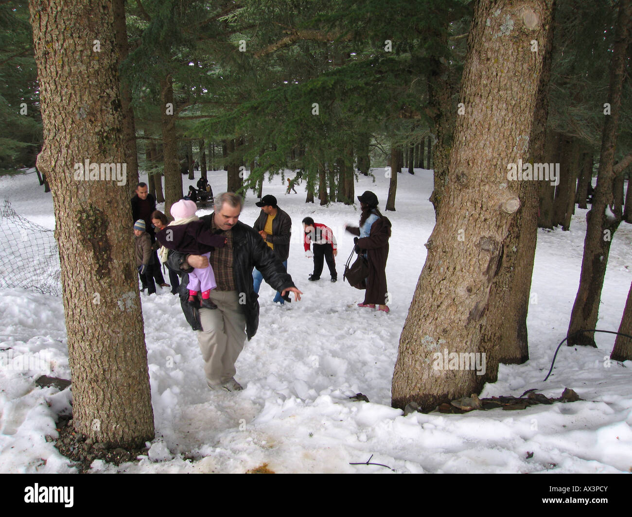 Algerian family playing with snow in springtime, Chrea mountains ...