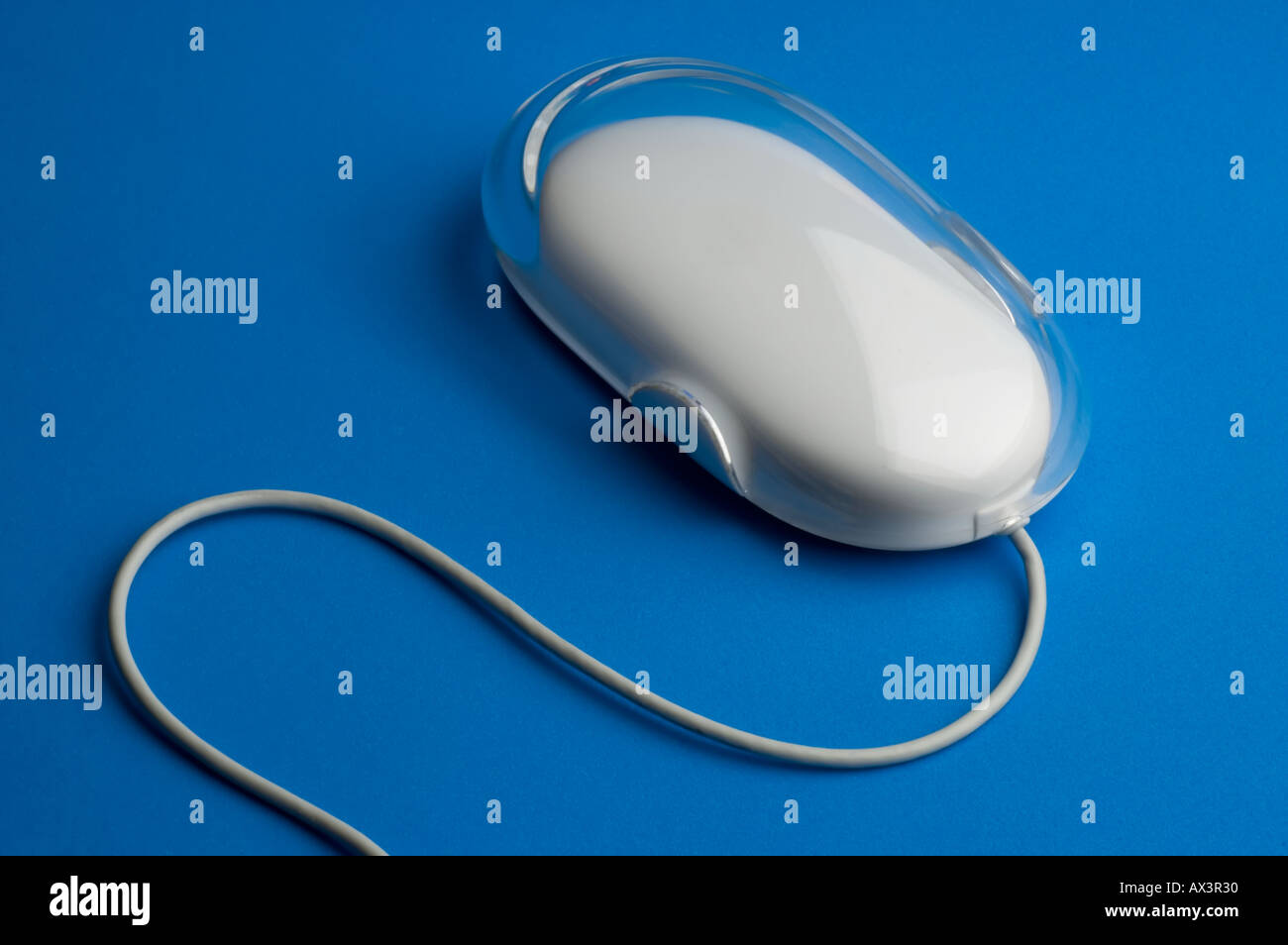 Computer Mouse on a plain blue background Stock Photo - Alamy