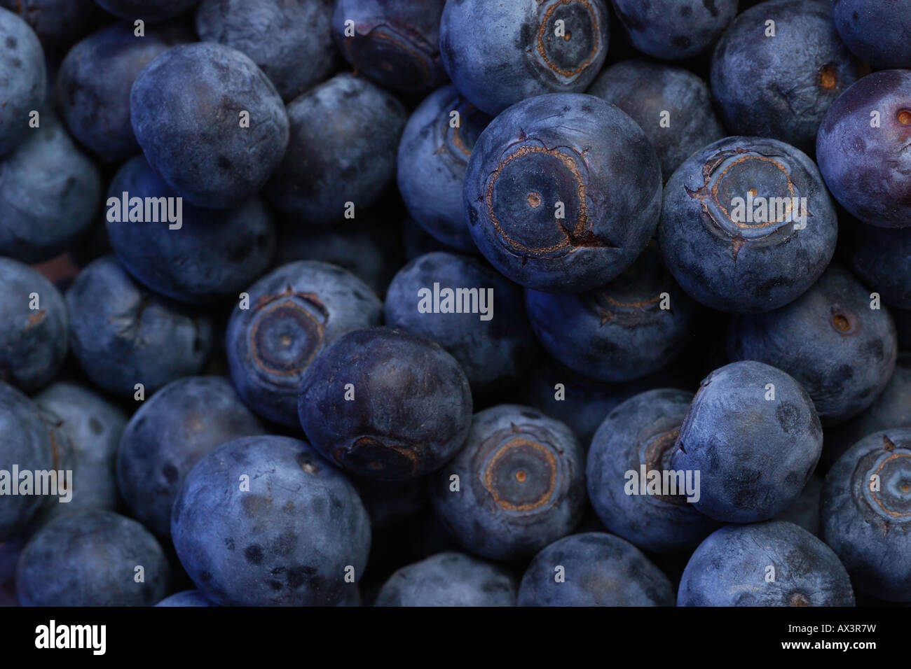 Lady blueberry hi-res stock photography and images - Alamy