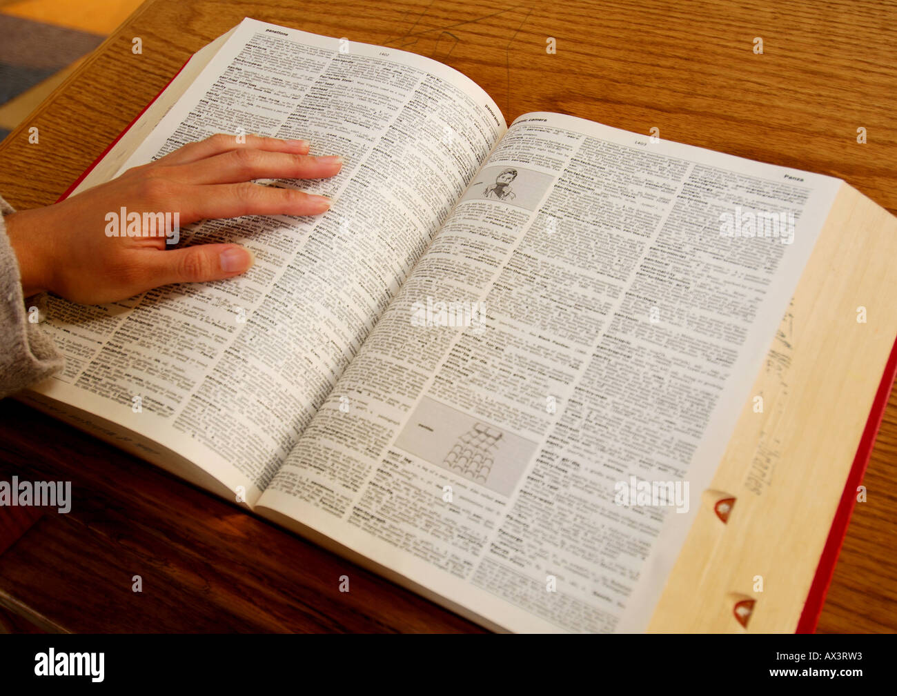 A student is reading a huge book Stock Photo - Alamy