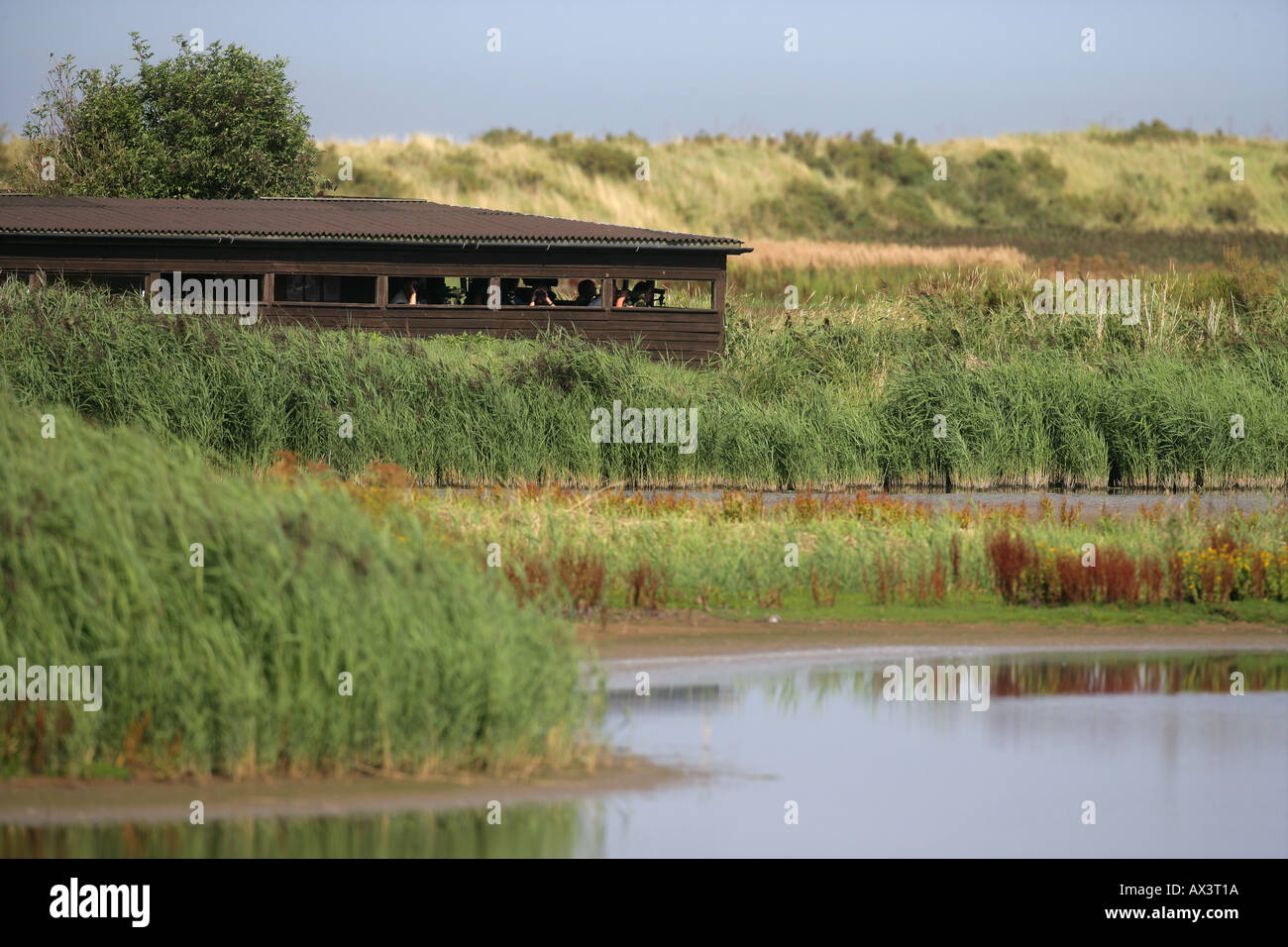 Rspb reserve titchwell hi-res stock photography and images - Alamy