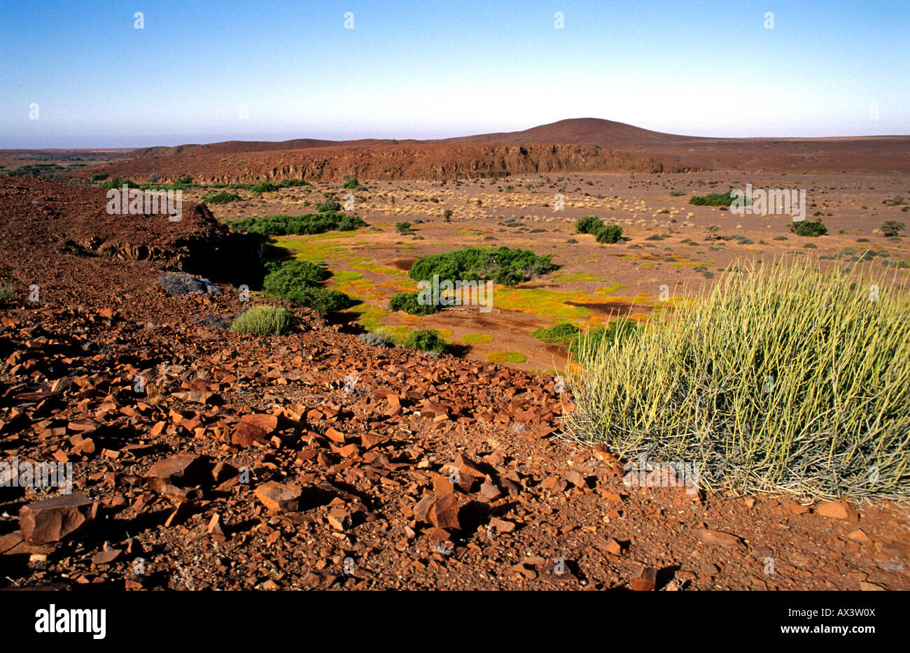 Uniab river hi-res stock photography and images - Alamy