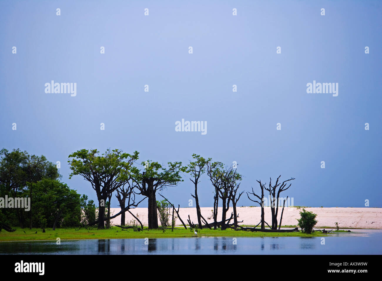 Brazil, Amazon, Rio Tapajos. A tributary of the Rio Tapajos which is ...