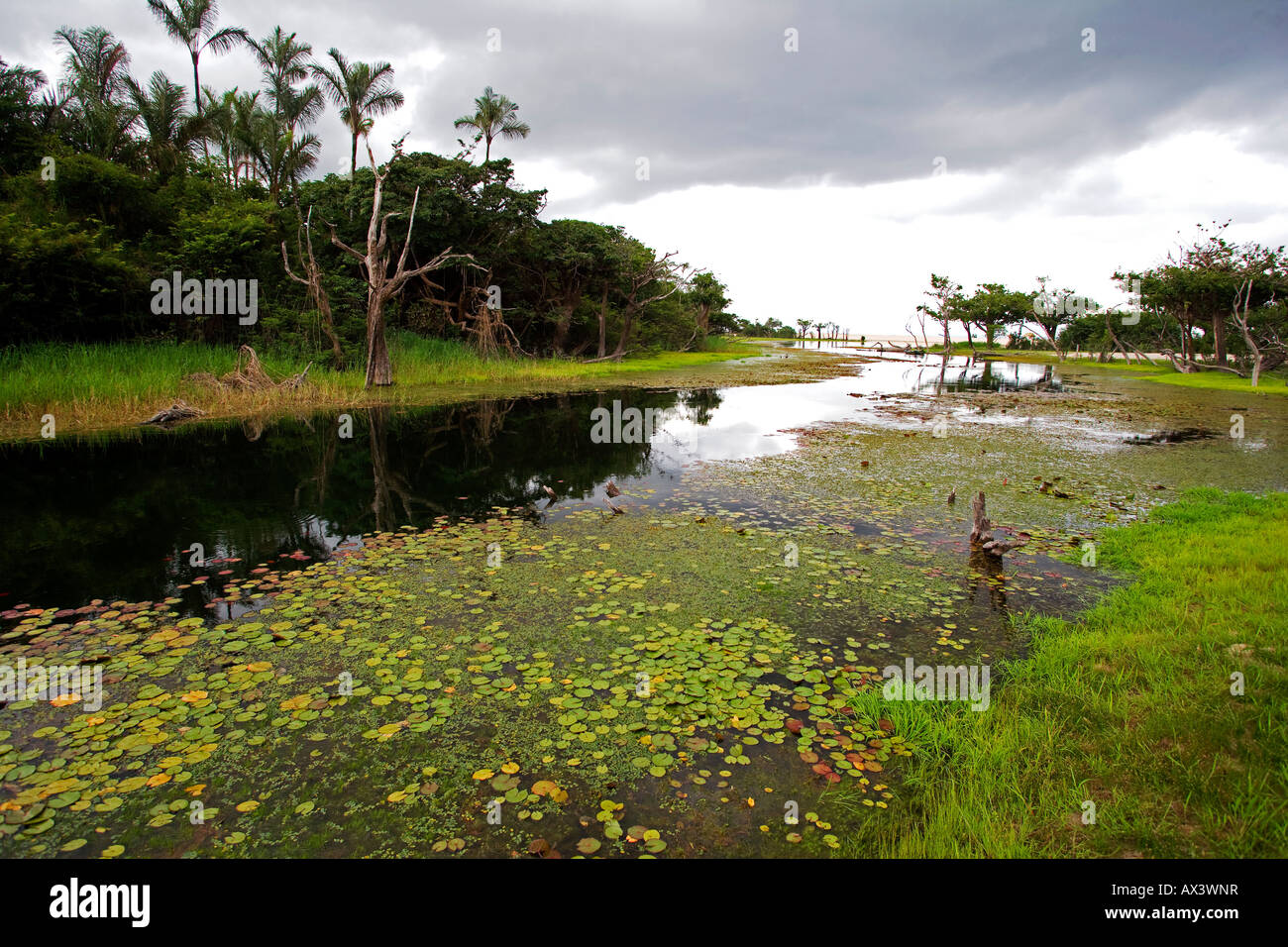 Brazil, Amazon, Rio Tapajos. A tributary of the Rio Tapajos which is ...