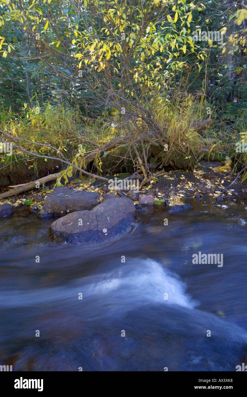 Mountain stream blur in Colorado USA Stock Photo - Alamy