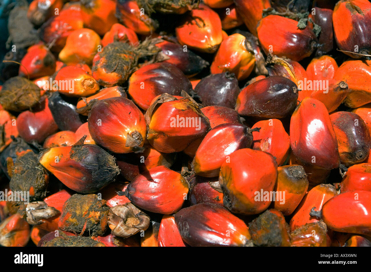 Dende oil hi-res stock photography and images - Alamy