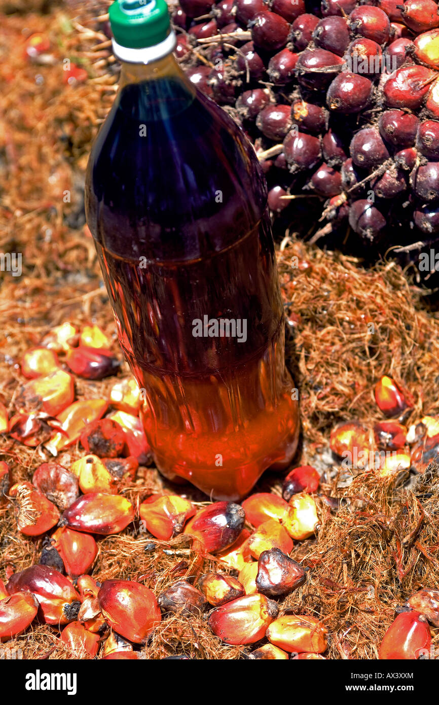 Dende oil hi-res stock photography and images - Alamy