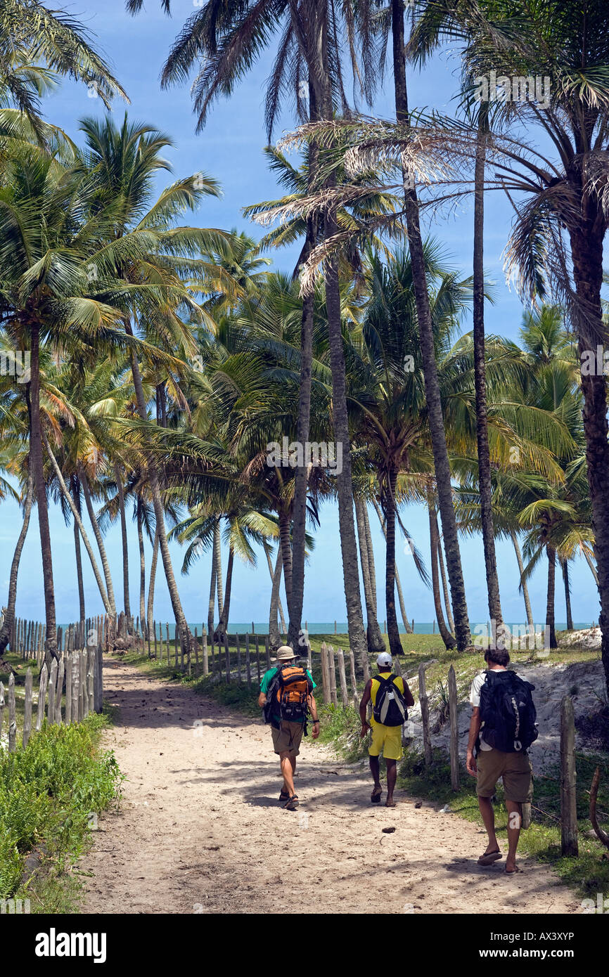 Dende oil hi-res stock photography and images - Alamy